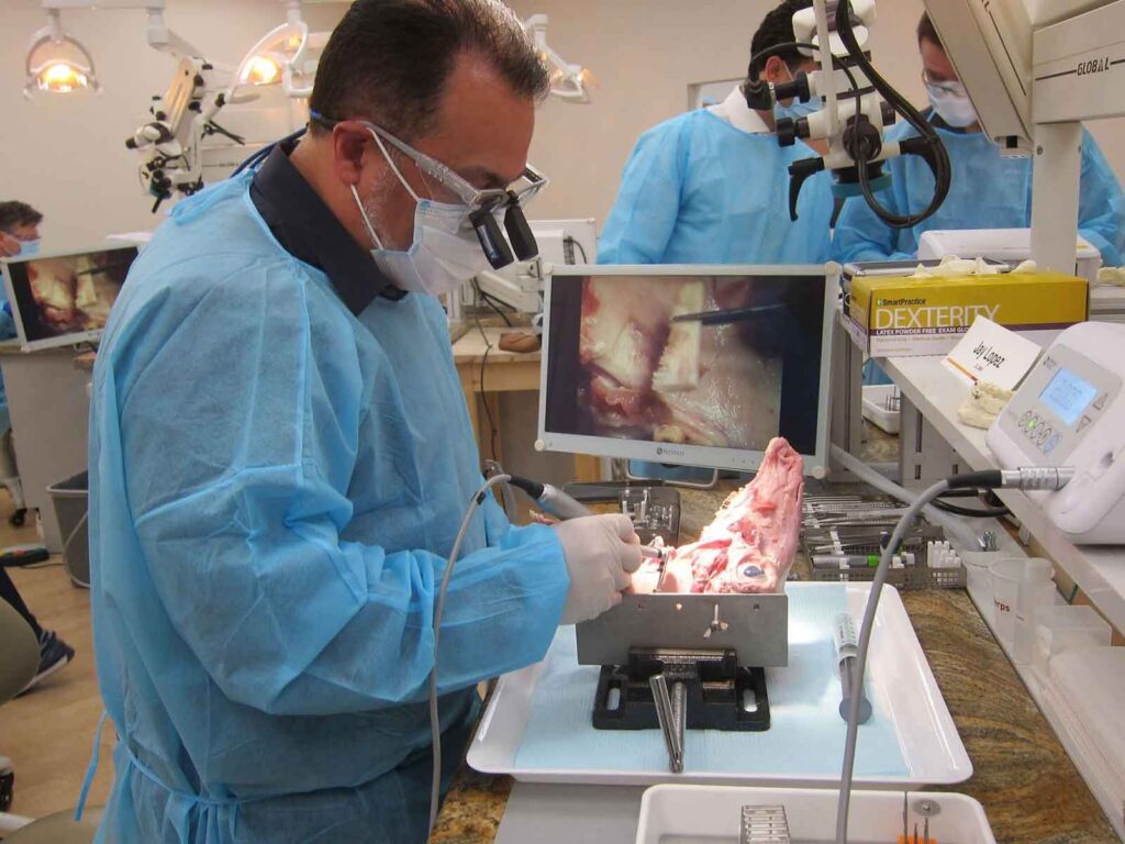 What to Expect from Your First Hands-On Dental CE Course